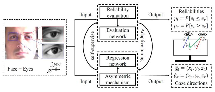 Gaze Estimation by Exploring Two-Eye Asymmetry | 佐藤研究室/菅野研究室