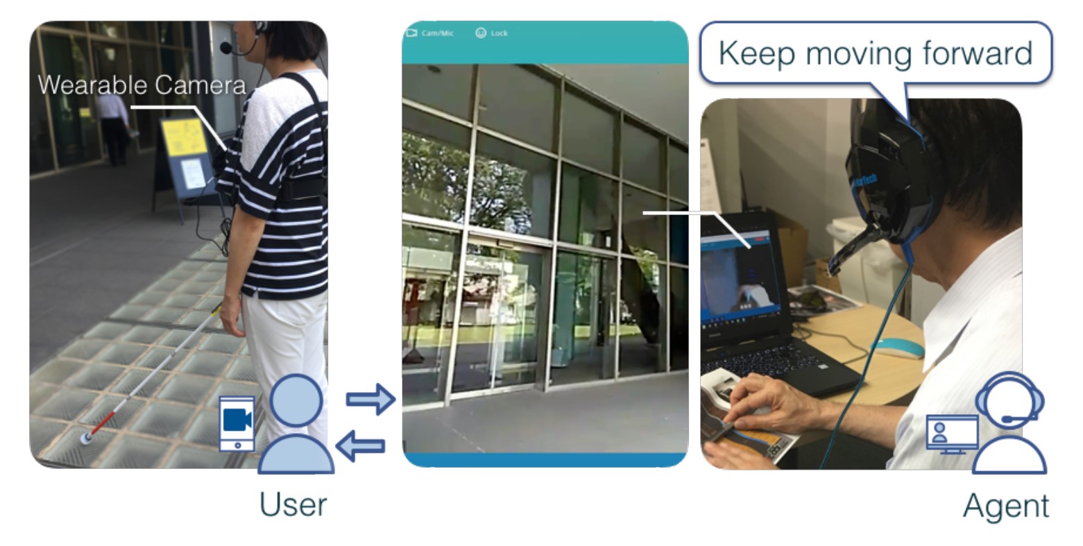 Support Strategies for Remote Guides in Assisting People with Visual ...