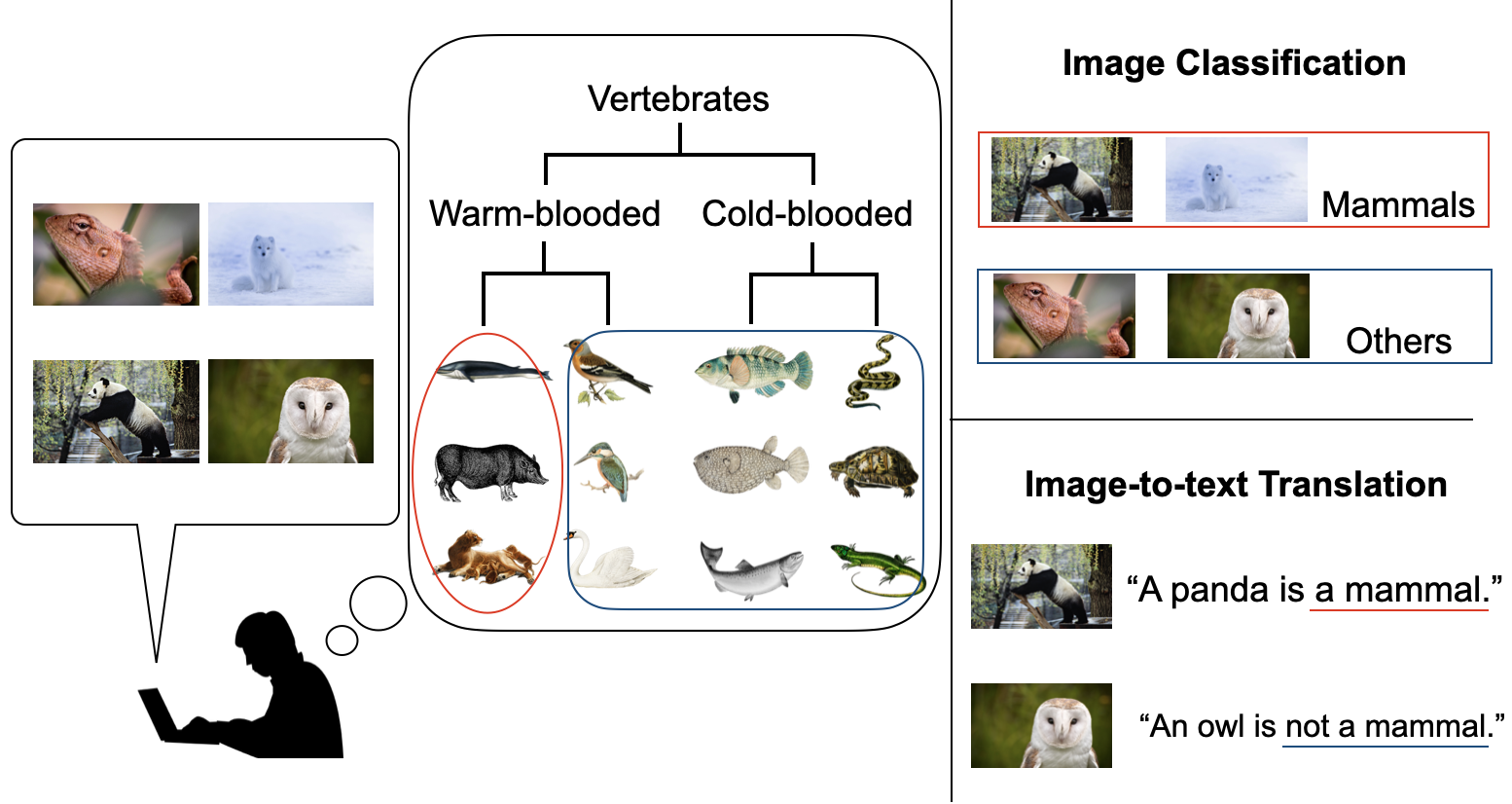 Image-to-Text Translation for Interactive Image Recognition: A ...